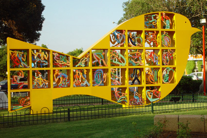 The Soul Bird | Birder's Journey